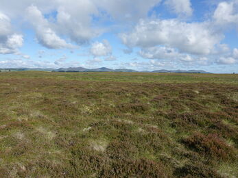 Raised bog | IUCN UK Peatland Programme
