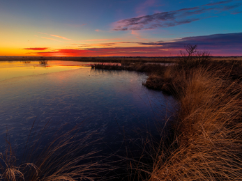 Raised bog | IUCN UK Peatland Programme