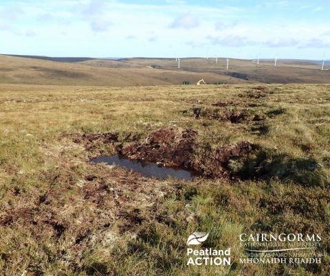 Drain (grip) blocking in the Cairngorms National Park | IUCN UK ...
