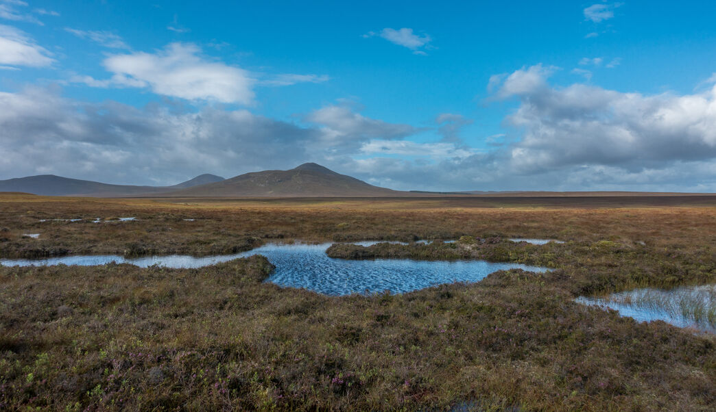 Blanket bog | IUCN UK Peatland Programme