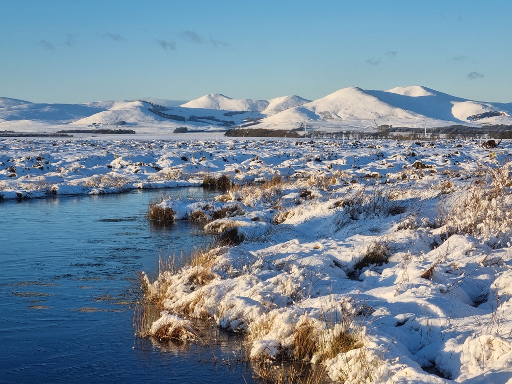 Raised bog | IUCN UK Peatland Programme