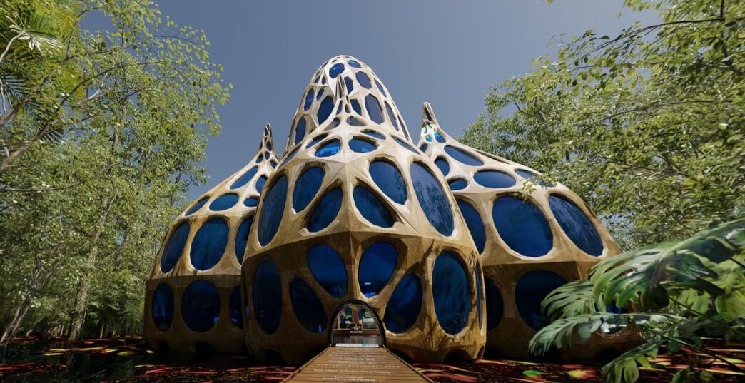 Around the World in 177 Peatlands: The Virtual Peatlands Pavilion 2025 ...