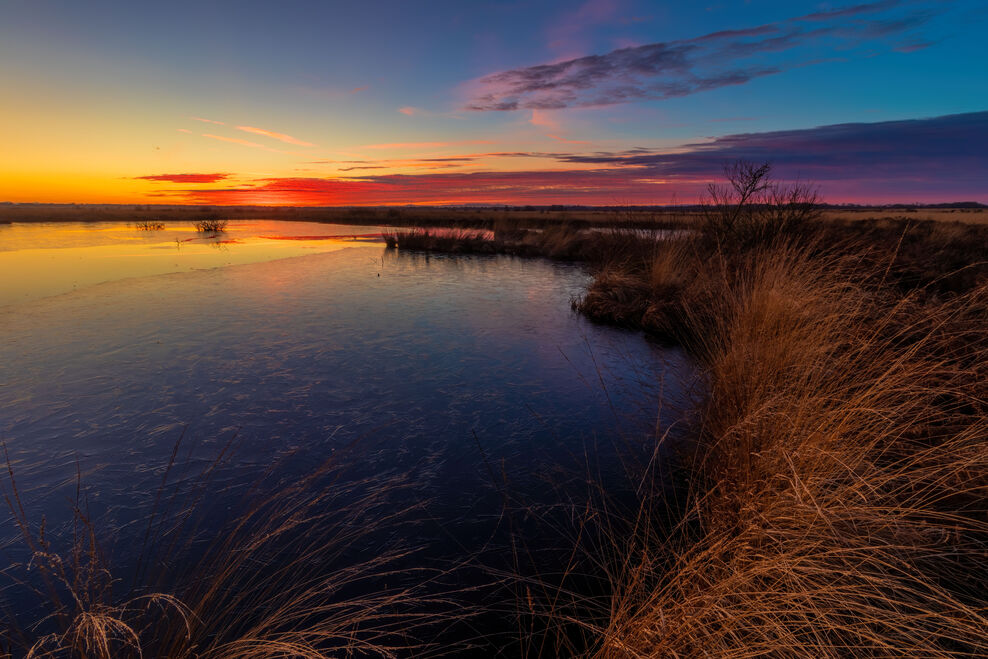 Raised bog | IUCN UK Peatland Programme