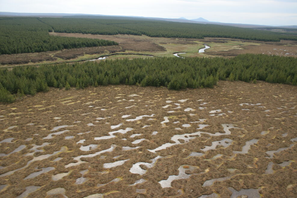 Blanket bog | IUCN UK Peatland Programme