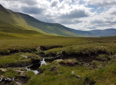 Protecting peatlands | IUCN UK Peatland Programme